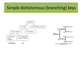 Pgce session 2 ct 2018revised | PPT