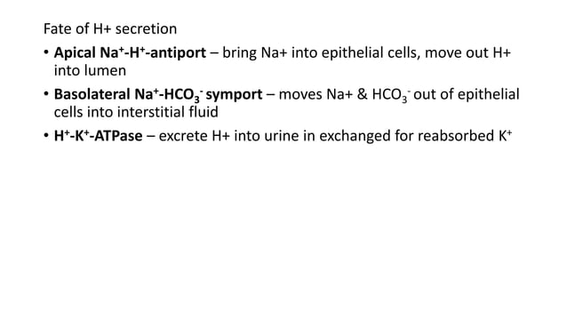 Renal pH regulation | PPT