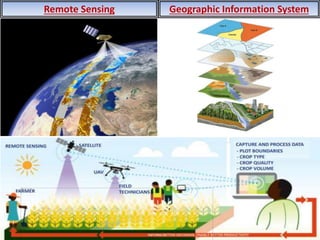 Seminar on 'Remote Sensing, Drone in Agriculture' | PPTX