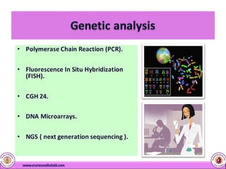 Pre-implantation Genetic Diagnosis ( PGD ) | PDF