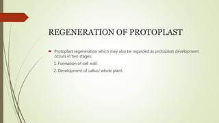 Pg departnment of biochemistry sim (1) | PPT