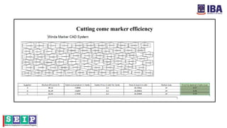PGD GB (DU IBA) Project Defense.pptx