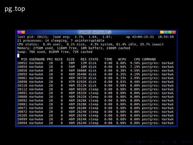 pg_proctab: Accessing System Stats in PostgreSQL | PDF