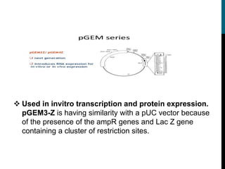 P gem3 z example of puc vector | PPTX