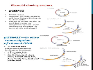 P gem3 z example of puc vector | PPTX