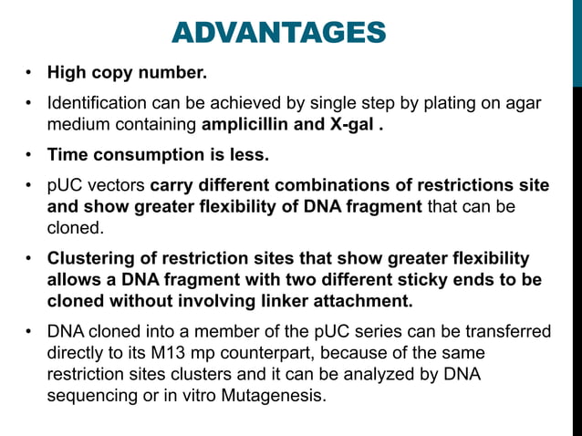 P gem3 z example of puc vector | PPTX