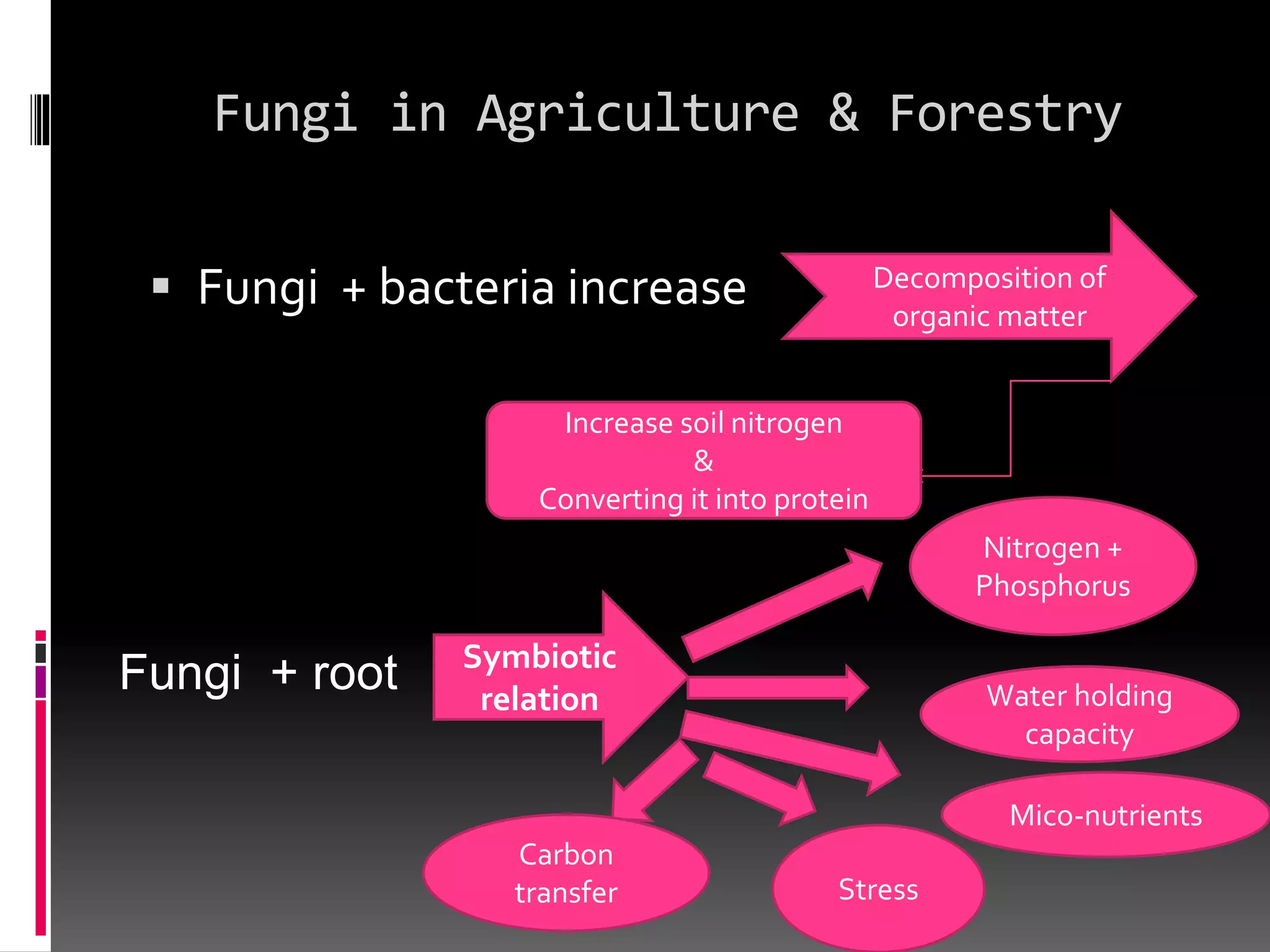 Fungi in Agriculture and Forestry: A Boon to Human Welfare by Dr. Pampi ...