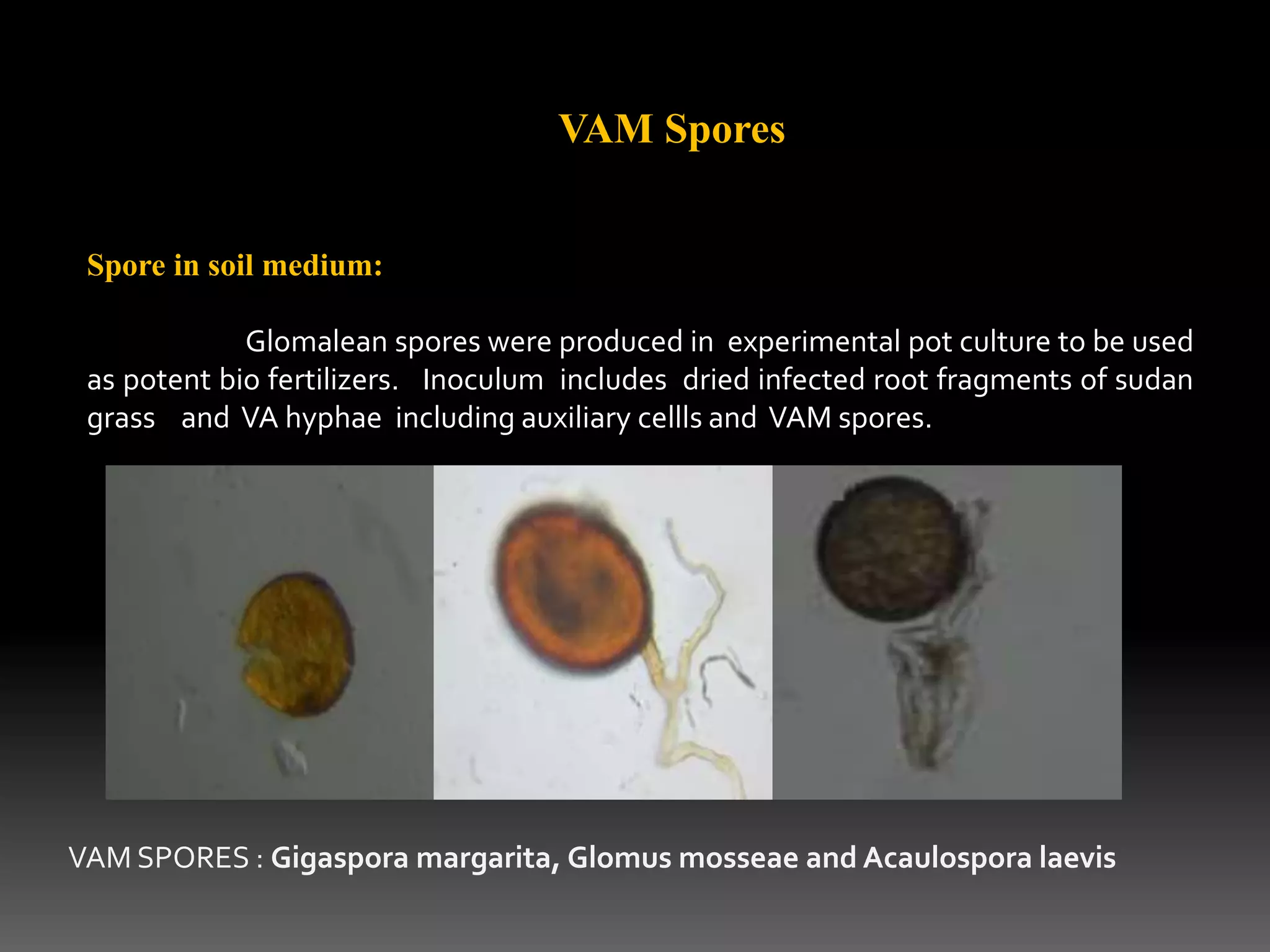 Fungi in Agriculture and Forestry: A Boon to Human Welfare by Dr. Pampi ...