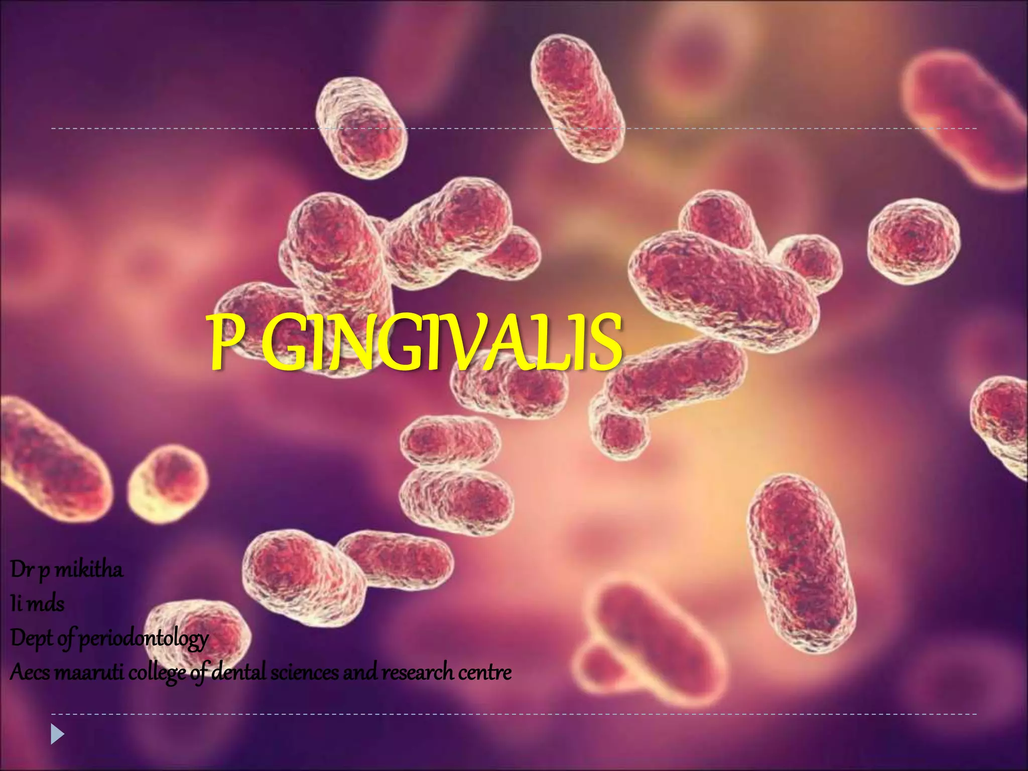 P gingivalis | PPT