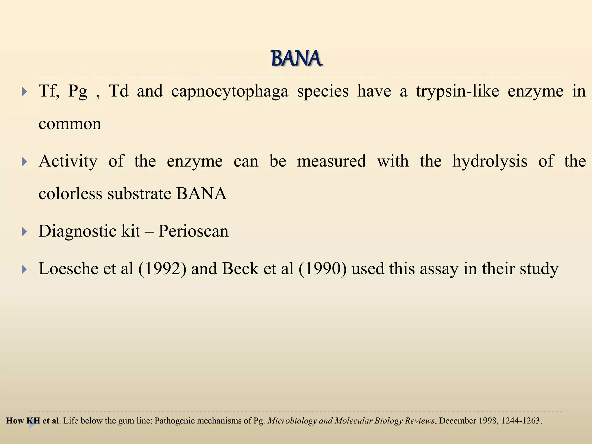 P gingivalis | PPT
