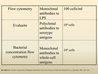 P gingivalis | PPT