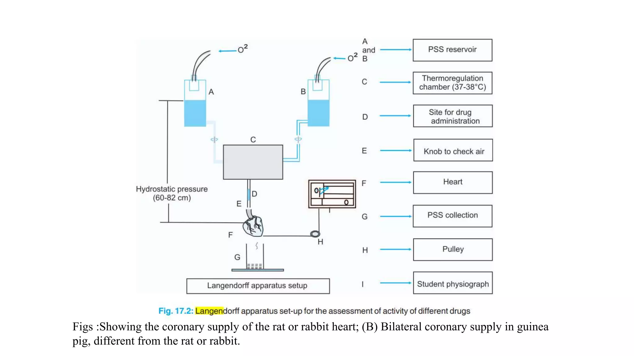 PG Instruments (Pharmacology).pptx