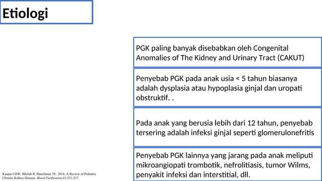 Penyakit Ginjal Kronik dan tatalaksana pada anak.ppt
