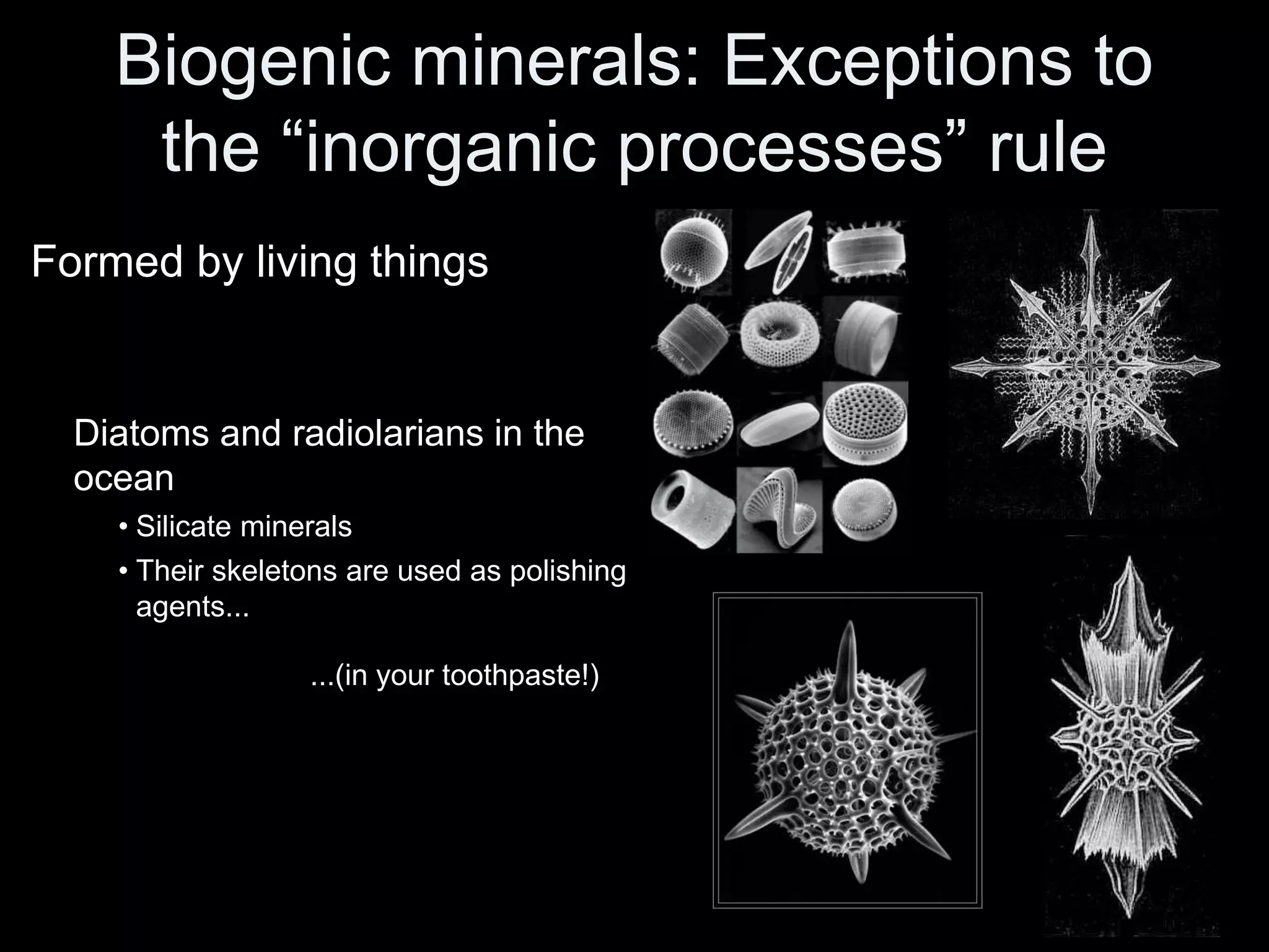Physical Geography Lecture 11 - The Lithosphere 111416 | PPTX