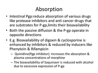 P- glycoproteins | PPTX