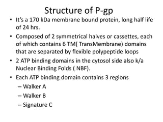 P- glycoproteins | PPTX