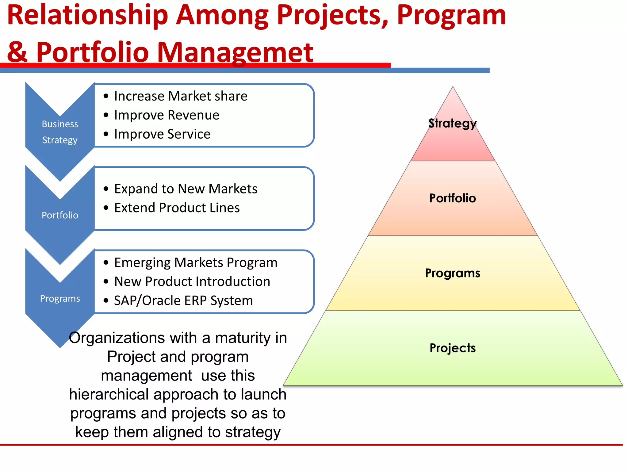 PgMP - Introduction to Program Management | PDF