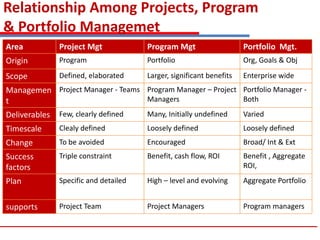 PgMP - Introduction to Program Management | PDF