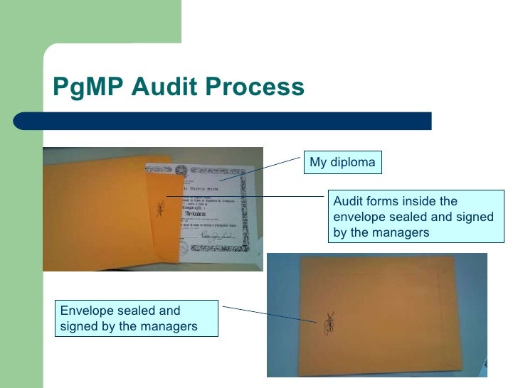 PgMP Application Completeness Review and Audit Process (2/3)