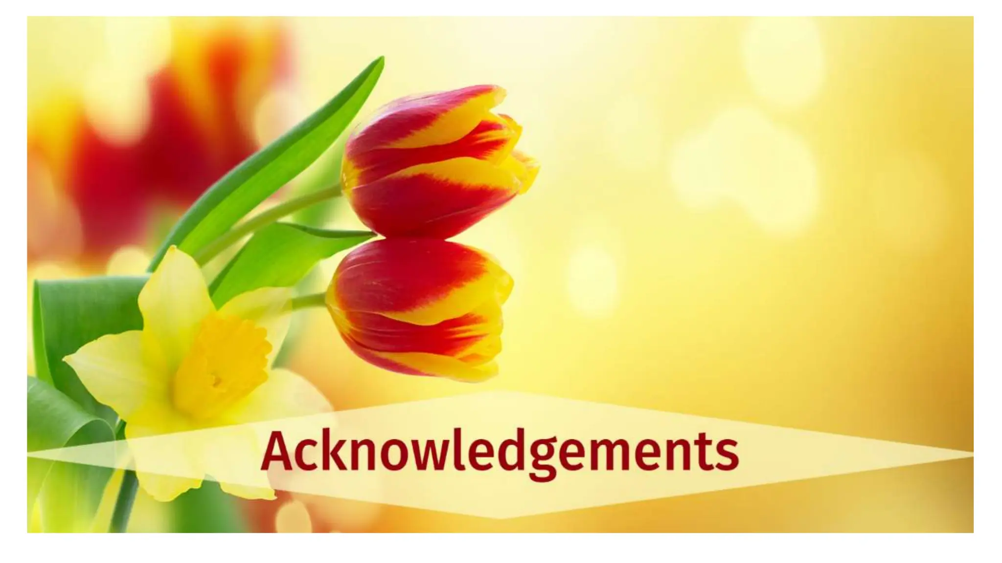 PG orientation 2023.pptx