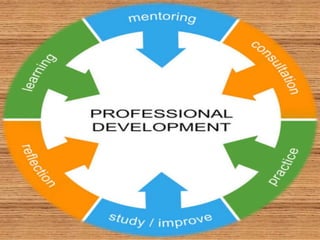 Professional Development Programme | PPTX