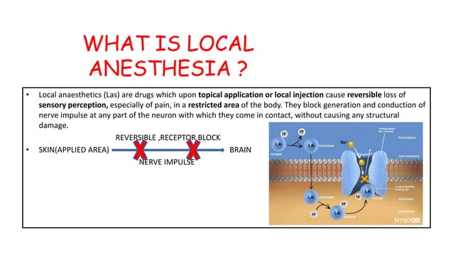 PG PPT LOCAL ANESTHESIA_011219.pptx for science | PPT