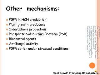 Pgpr | PPT