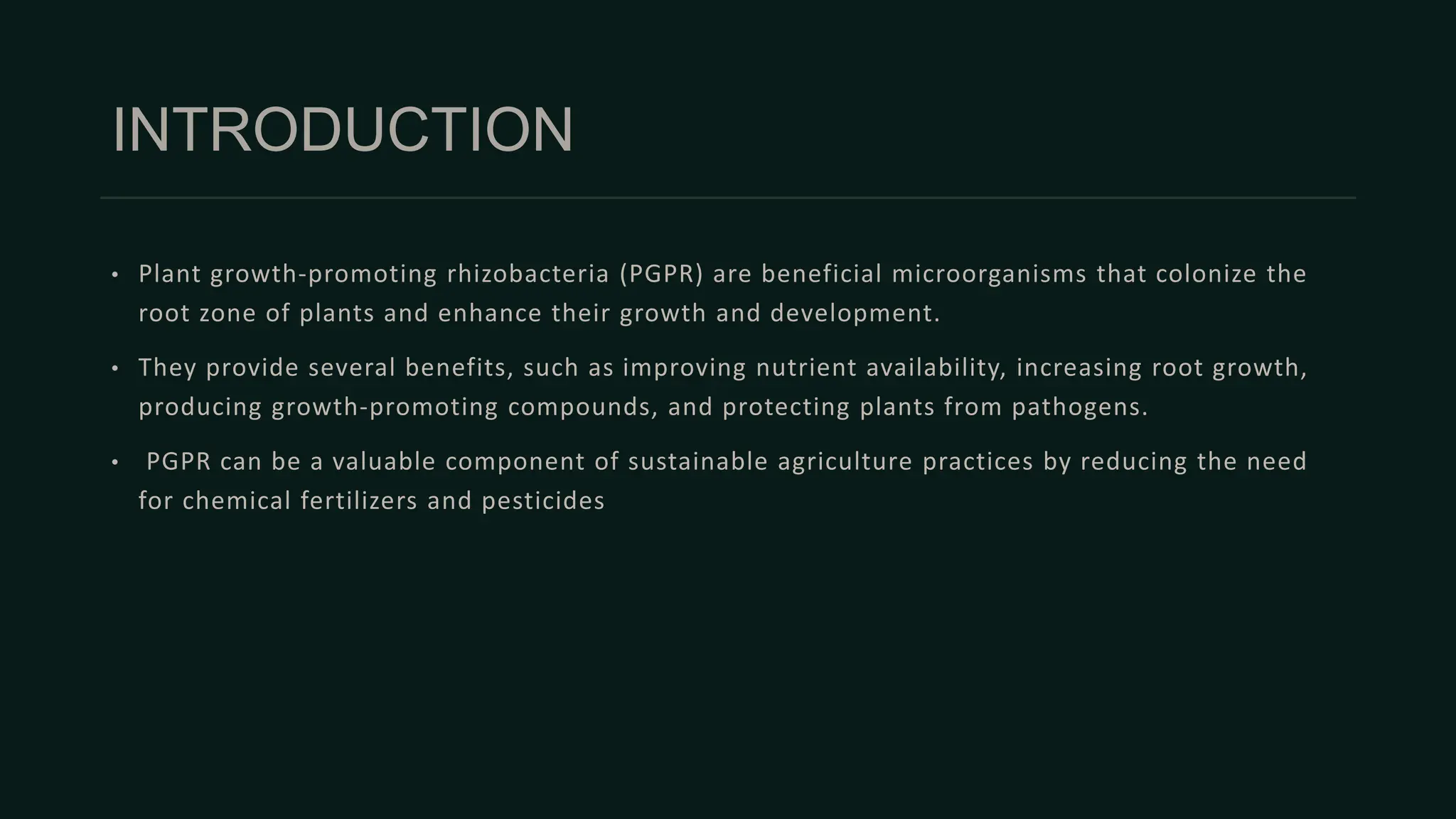 PGPR plant growth promoting rhizobium in soil | PPT