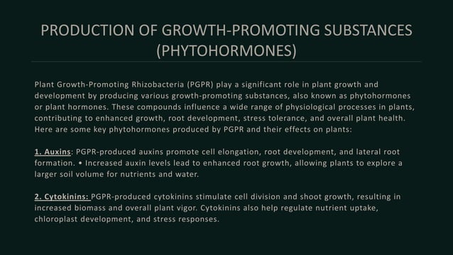 PGPR plant growth promoting rhizobium in soil | PPT