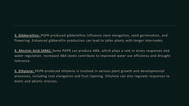 PGPR plant growth promoting rhizobium in soil | PPT