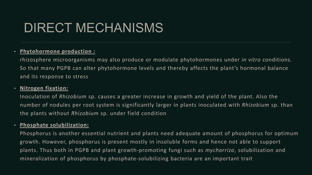 PGPR plant growth promoting rhizobium in soil | PPT