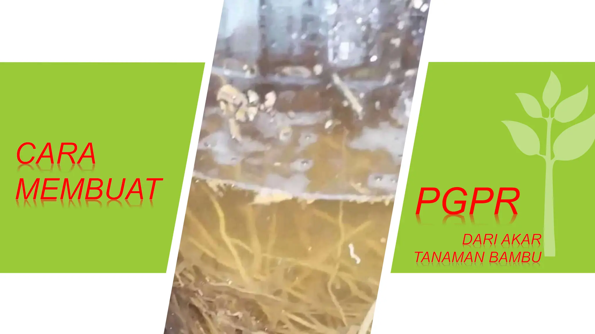 Pengendalian hama dan penyakit secara alami | PPTX