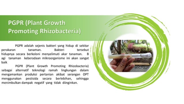 Pengendalian hama dan penyakit secara alami | PPT