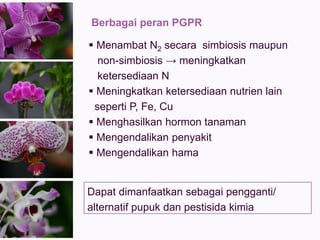 PGPR (Plant Growth Promoting Rhizobacteria).pdf