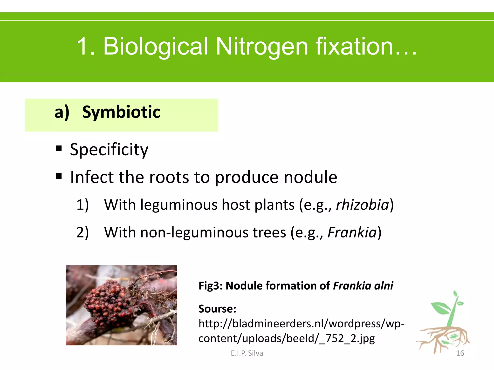 PGPR - Plant Growth Promoting Rhizobacteria | PDF
