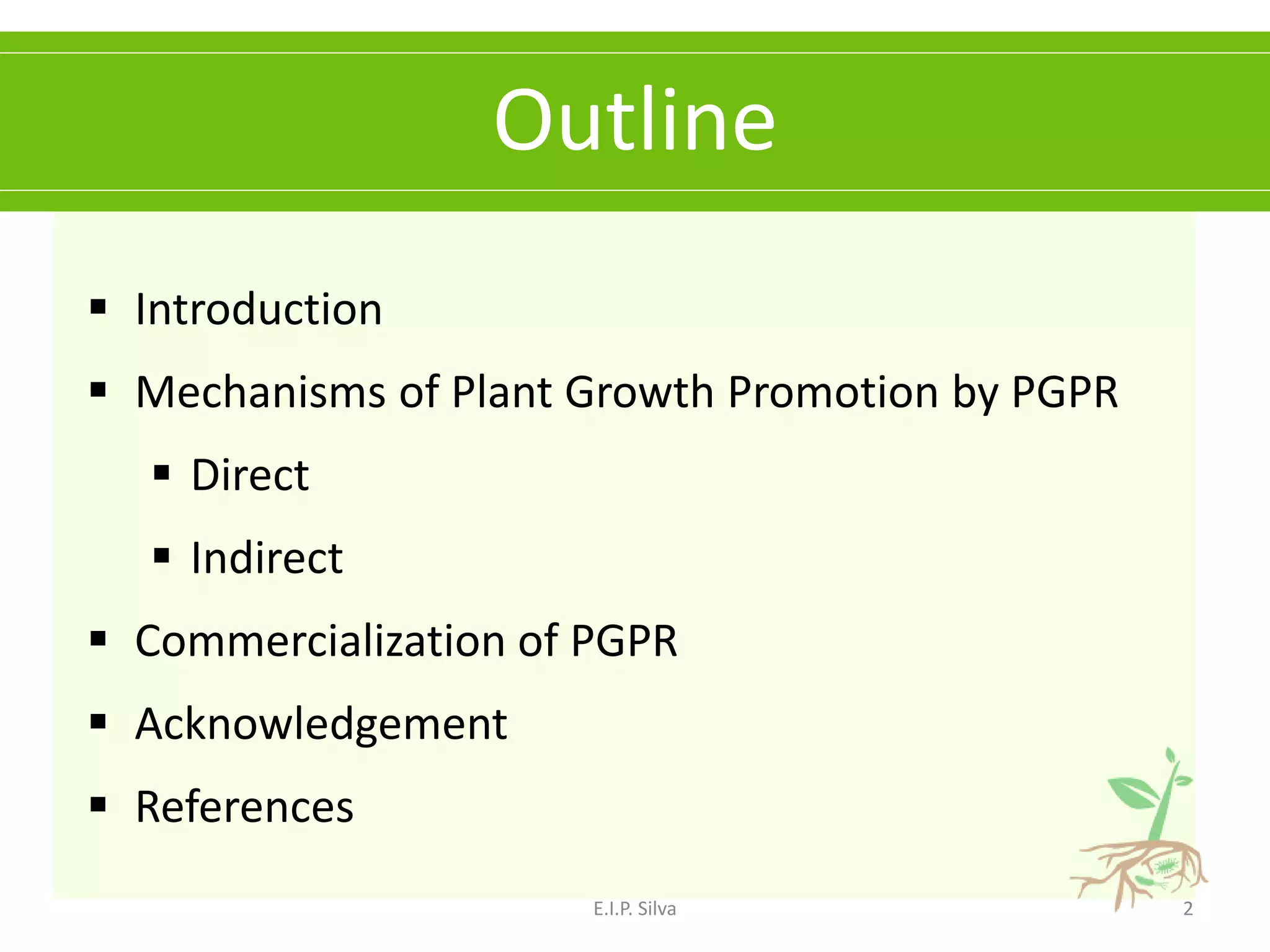 PGPR - Plant Growth Promoting Rhizobacteria | PDF