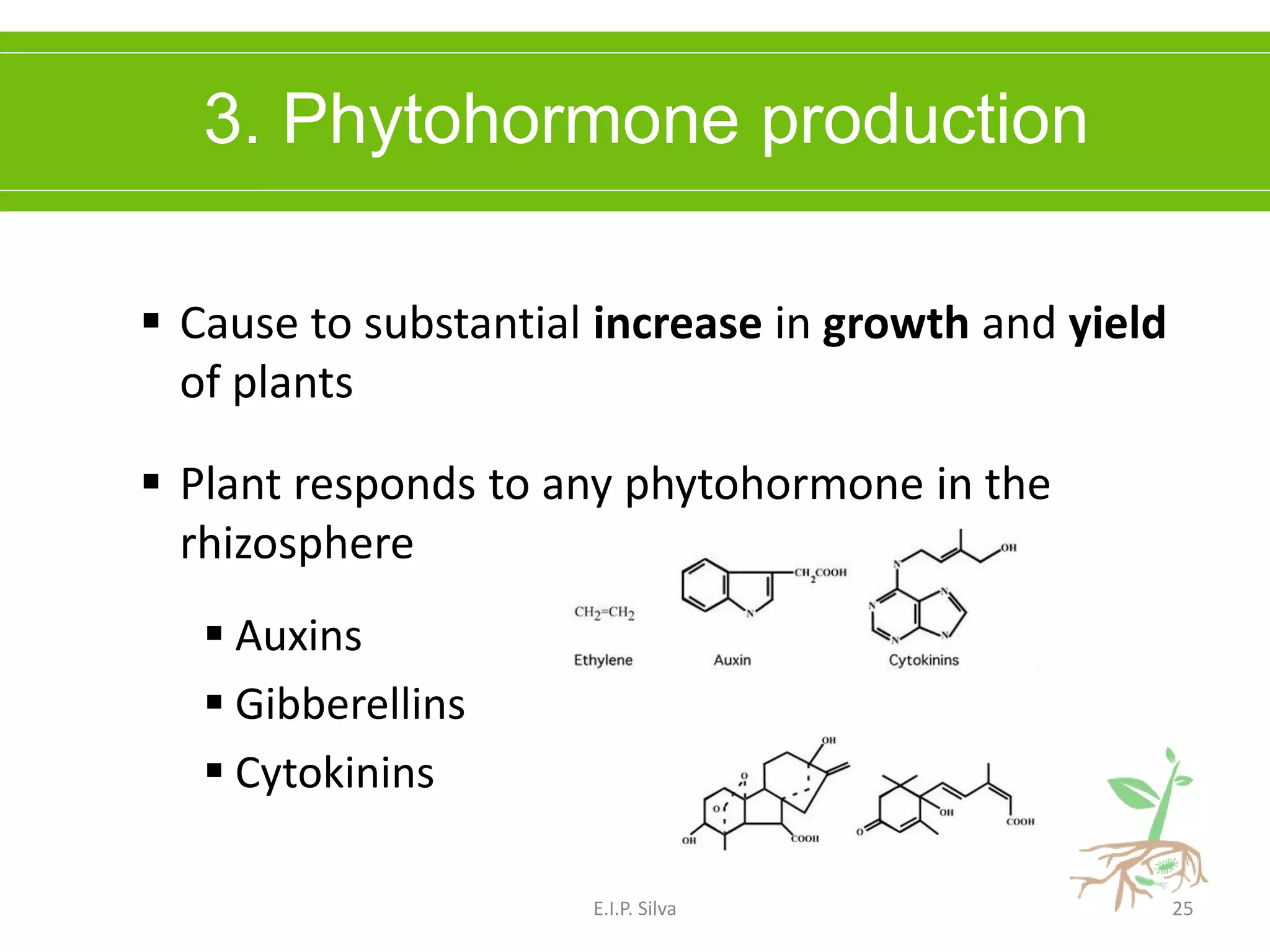 PGPR - Plant Growth Promoting Rhizobacteria | PDF