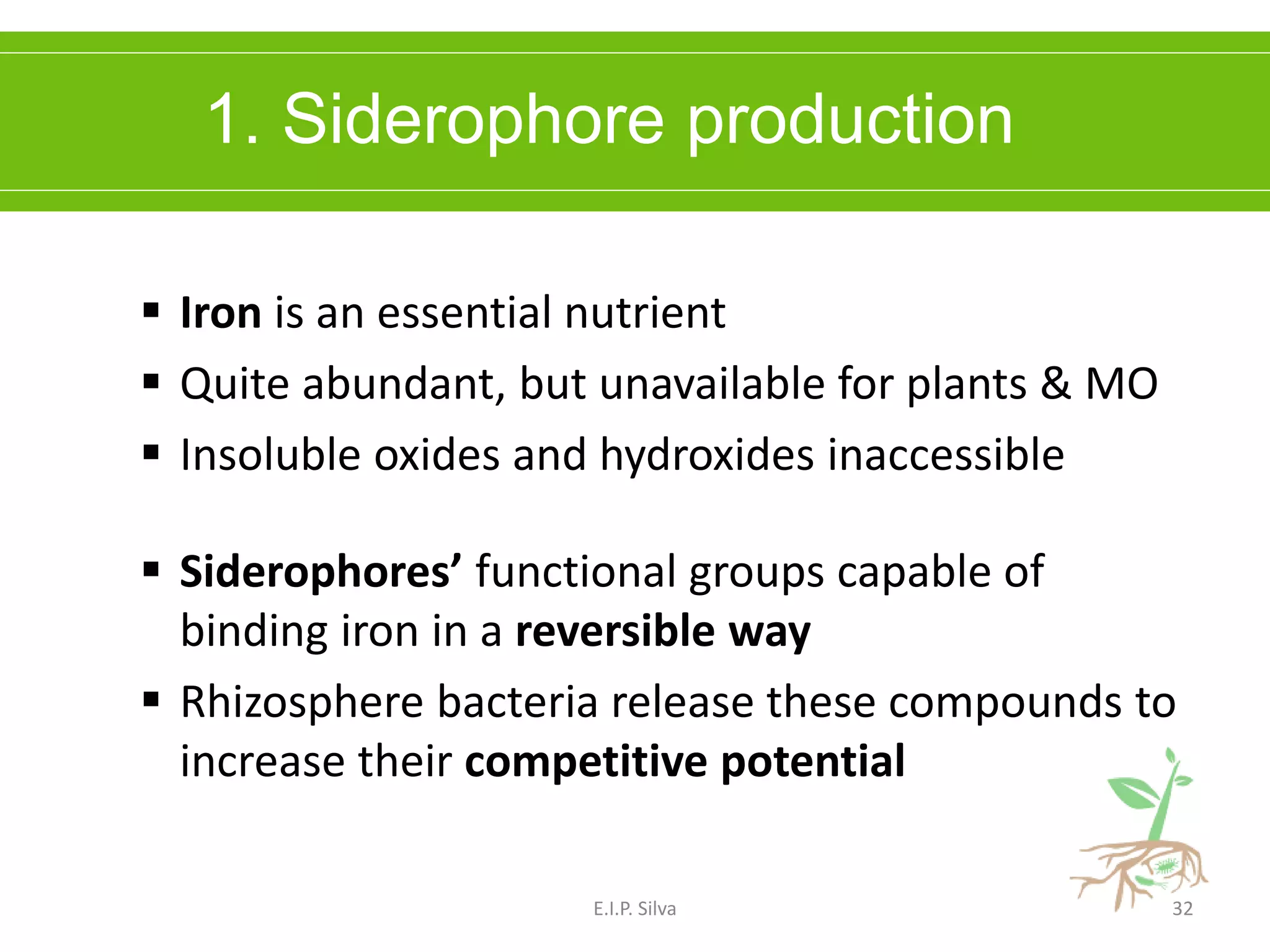 PGPR - Plant Growth Promoting Rhizobacteria | PDF