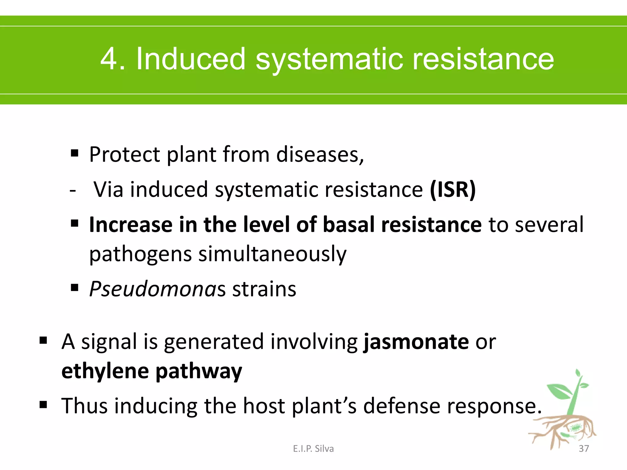 PGPR - Plant Growth Promoting Rhizobacteria | PDF