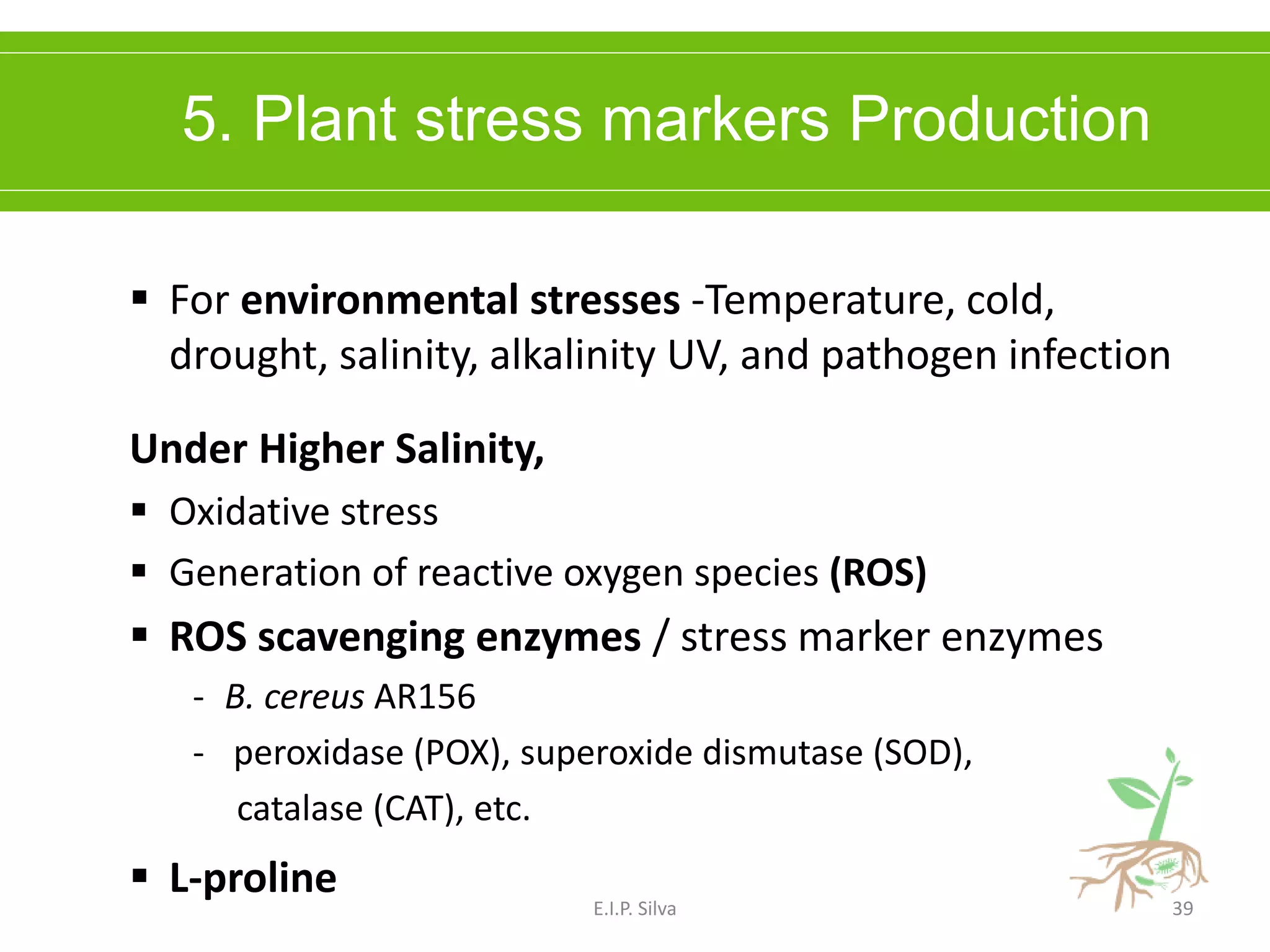 PGPR - Plant Growth Promoting Rhizobacteria | PDF