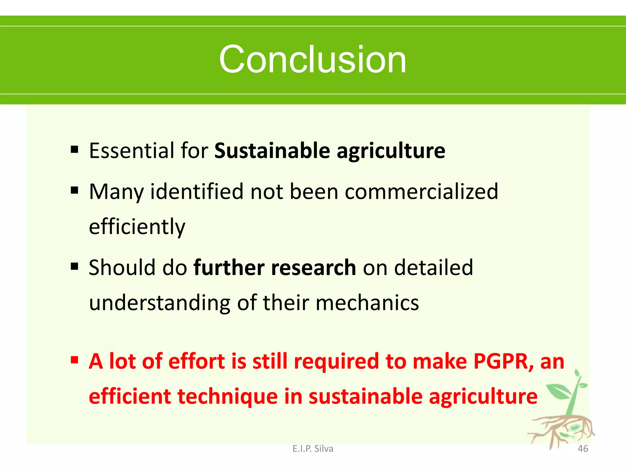 PGPR - Plant Growth Promoting Rhizobacteria | PDF