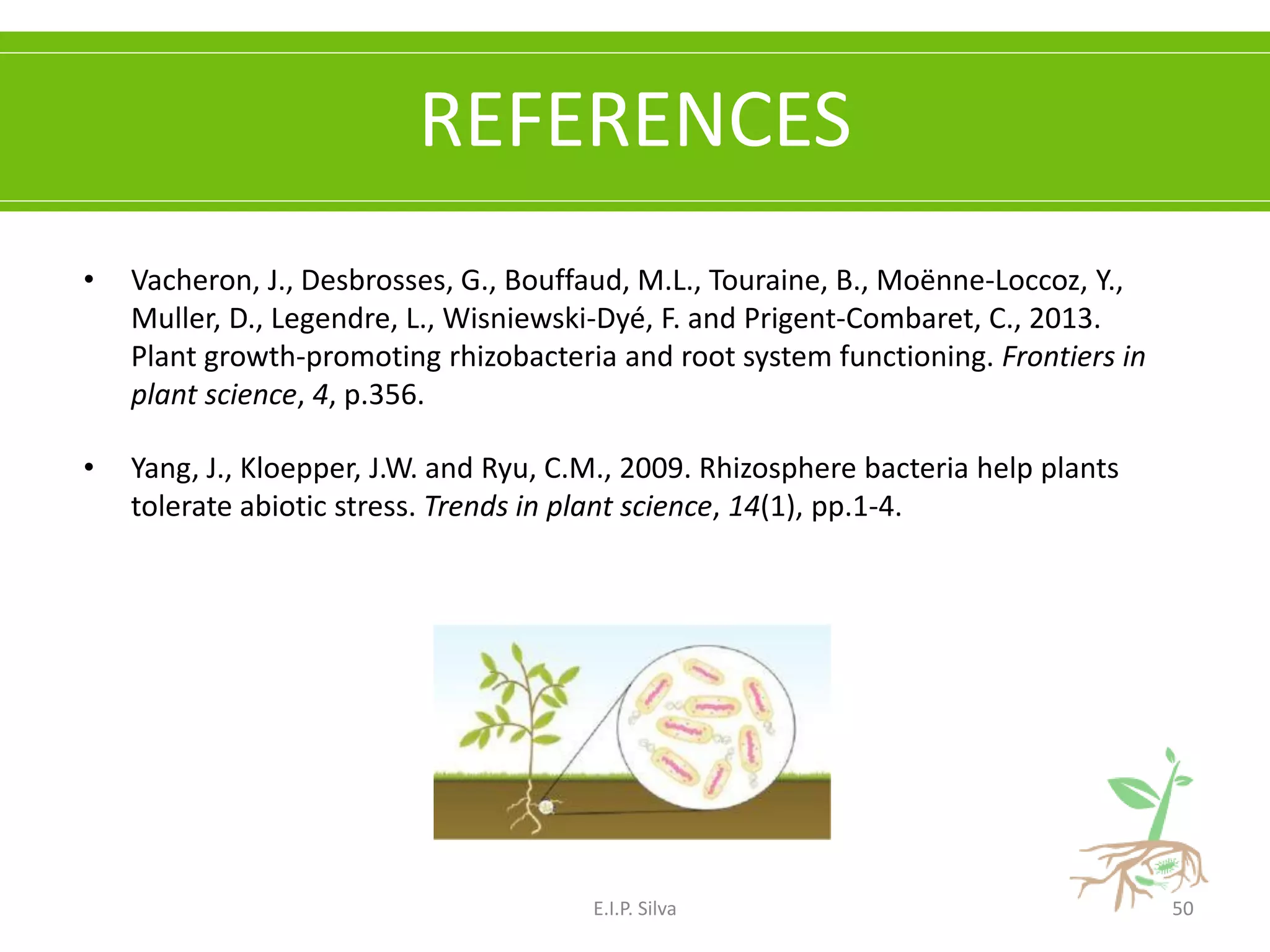 PGPR - Plant Growth Promoting Rhizobacteria | PDF