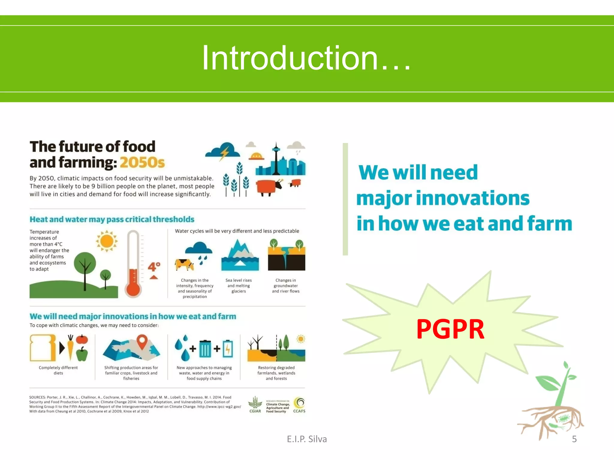 PGPR - Plant Growth Promoting Rhizobacteria | PDF