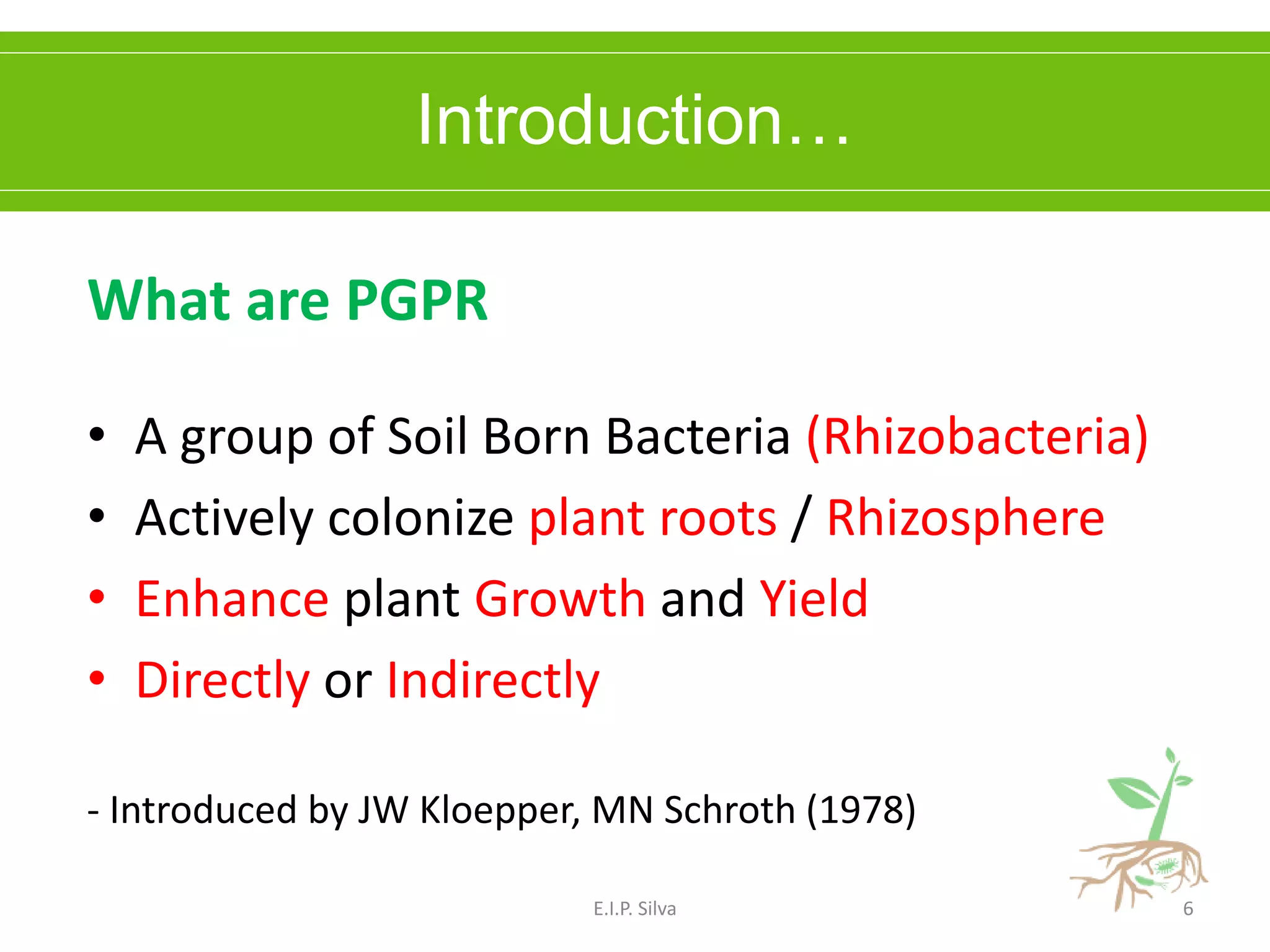 PGPR - Plant Growth Promoting Rhizobacteria | PDF