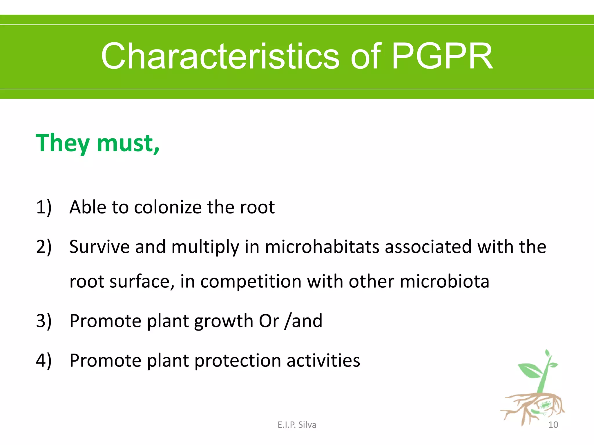 PGPR - Plant Growth Promoting Rhizobacteria | PDF