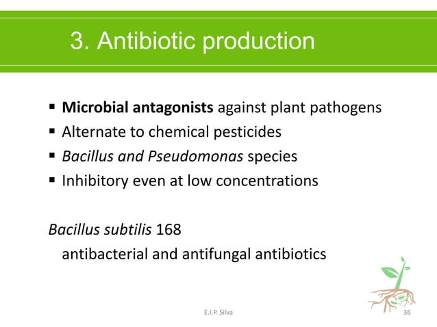 PGPR - Plant Growth Promoting Rhizobacteria | PDF