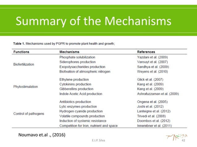 PGPR - Plant Growth Promoting Rhizobacteria | PDF