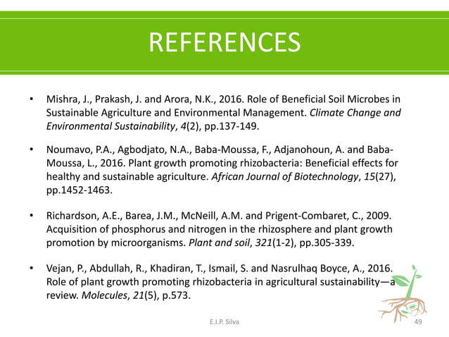 PGPR - Plant Growth Promoting Rhizobacteria | PDF