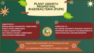 Plant Growth Promoting Rhizobacteria PGPR | PPT