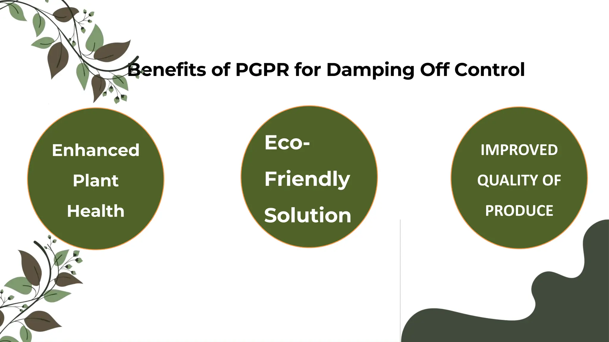 PGPR FINAL slideshare.pptx